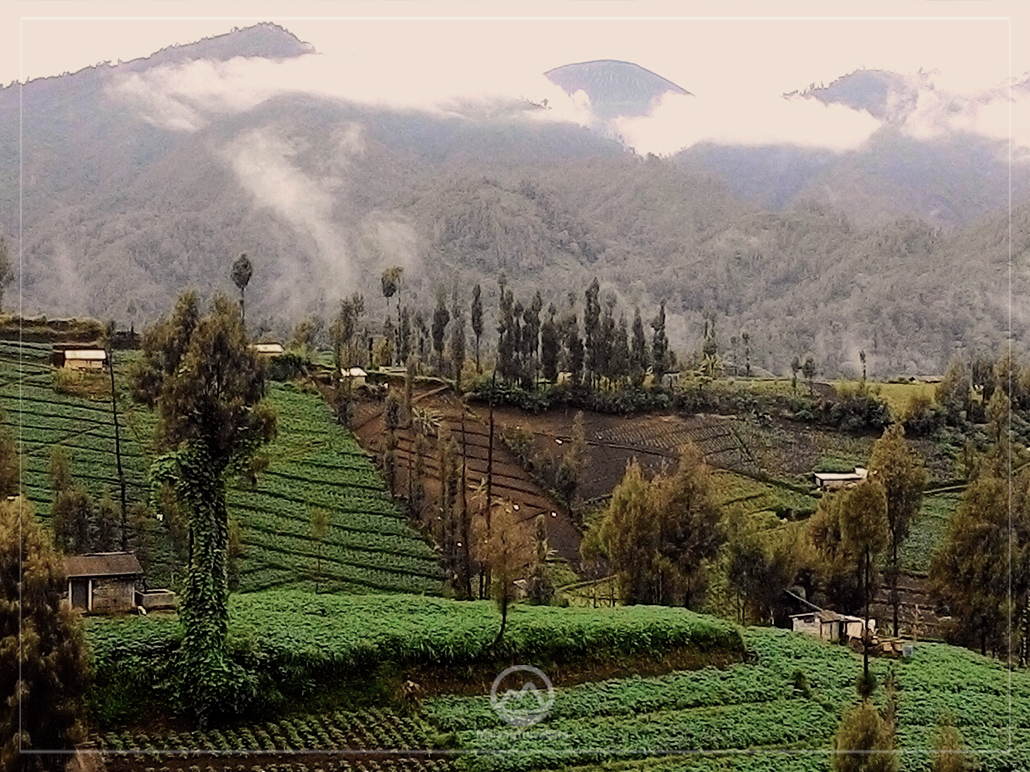 ECOTOURISM POTENTIAL | Malang Travelista